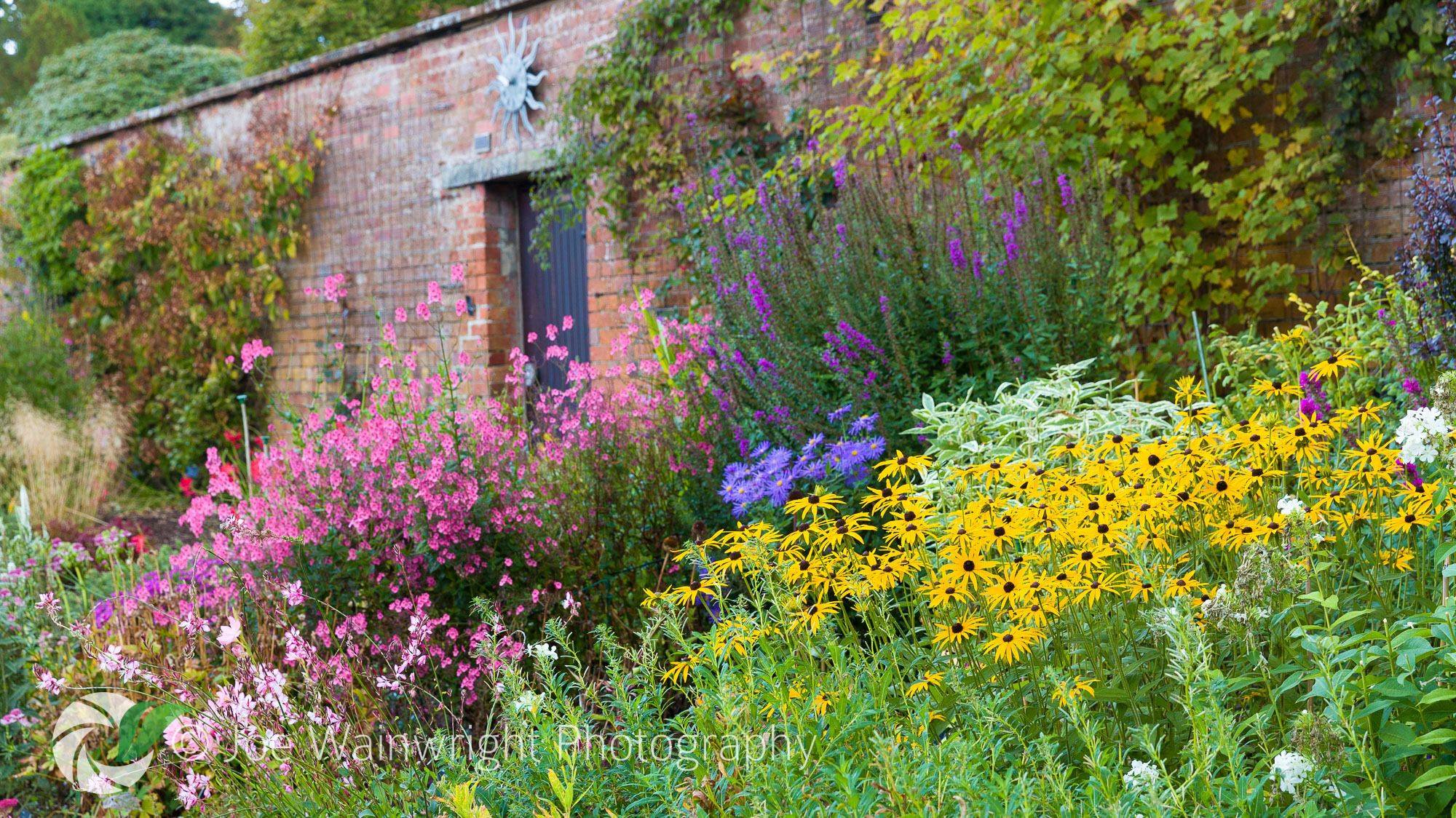 19 Late Summer Flower Garden Ideas To Try This Year | SharonSable