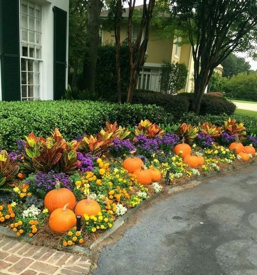 20 Fall Flower Garden Ideas Worth a Look | SharonSable