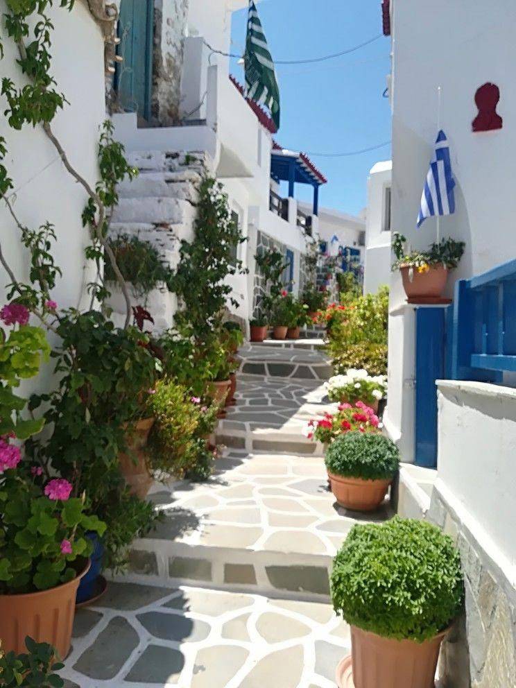 23 Greek Garden Ideas For This Year | SharonSable