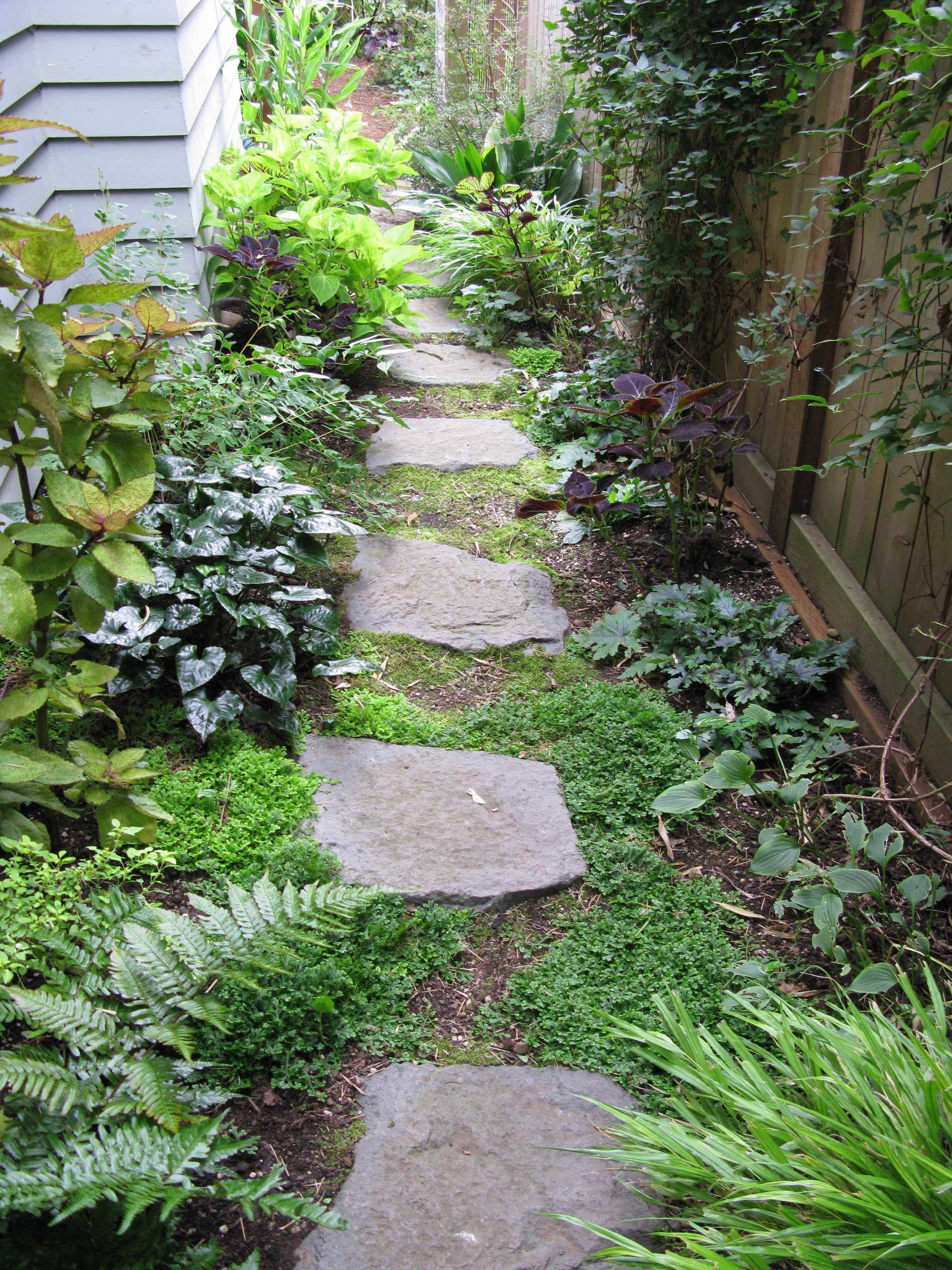 23 Beautiful Shade Garden Path Ideas You Must Look | SharonSable