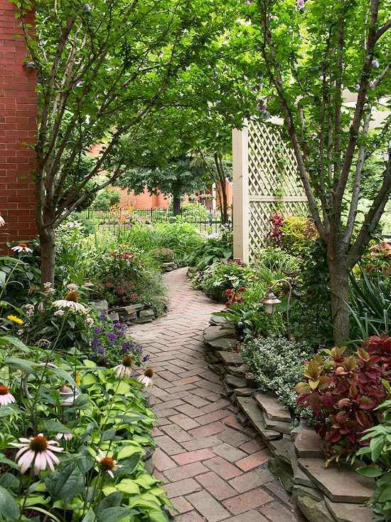 20 Garden Path Plants Ideas You Should Look | SharonSable