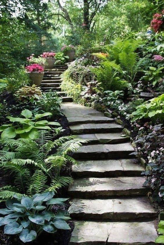 23 Fern Garden Ideas You Should Check | SharonSable