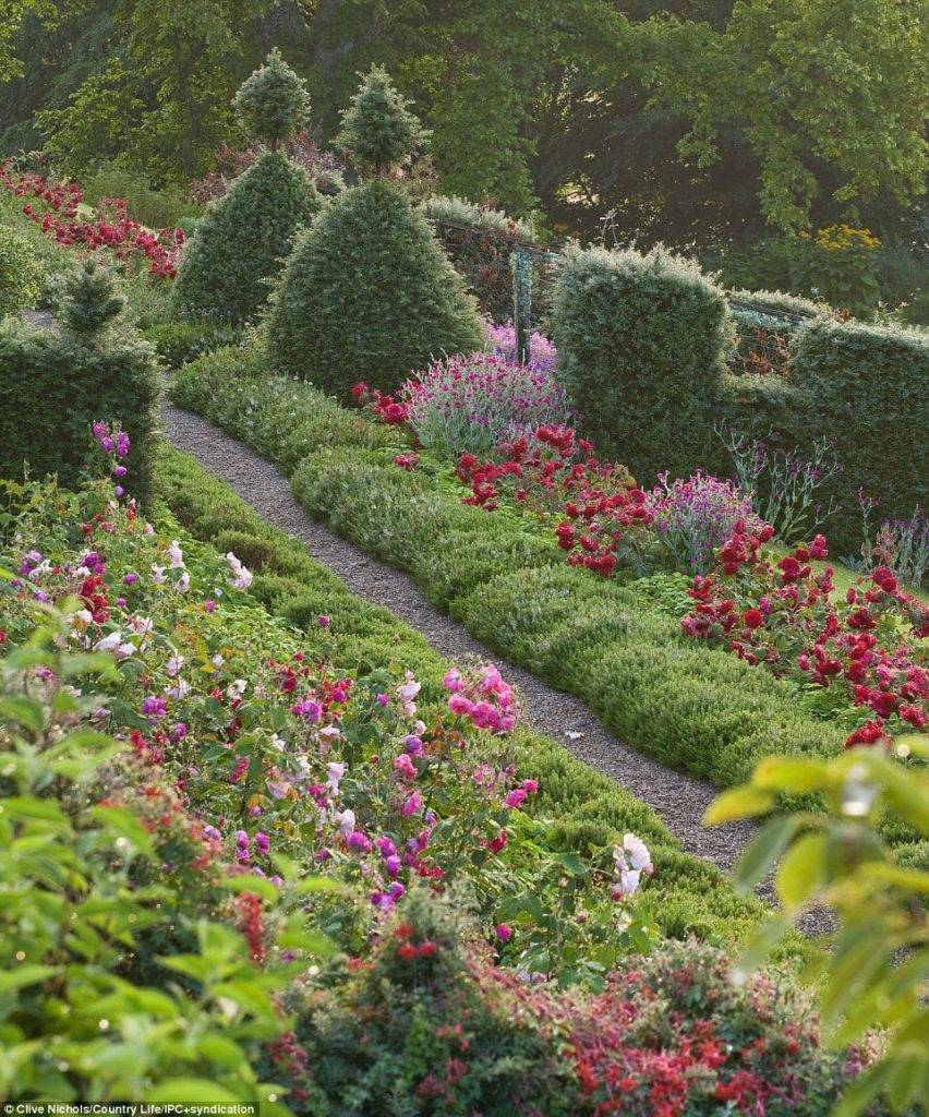 20 Garden Border Plant Ideas You Gonna Love | SharonSable