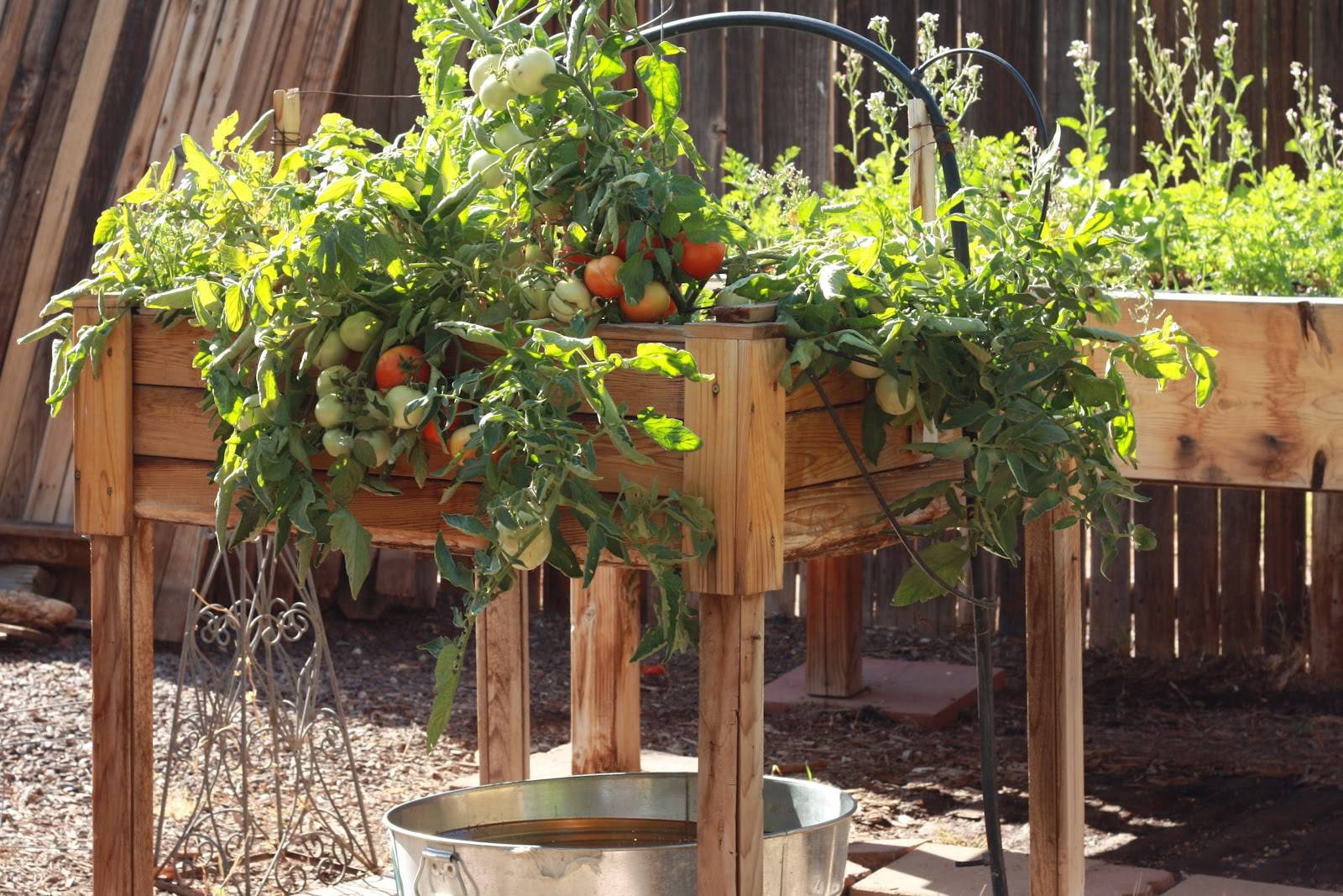 24 Judith Chitty Garden Design Ideas You Should Look | SharonSable