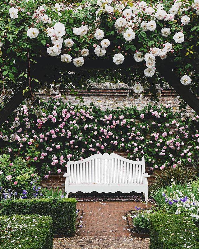 24 Judith Chitty Garden Design Ideas You Should Look | SharonSable