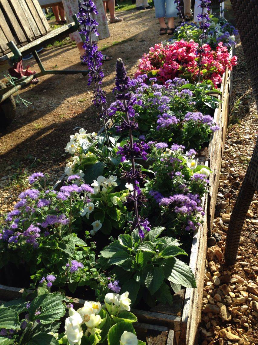 24 Judith Chitty Garden Design Ideas You Should Look | SharonSable