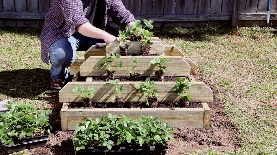 23 Pyramid Herb Garden Ideas You Should Check | SharonSable