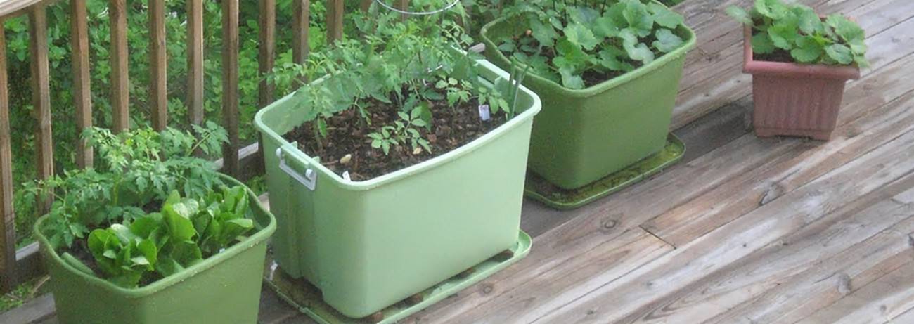 18 Rubbermaid Container Gardening Ideas You Must Look | SharonSable