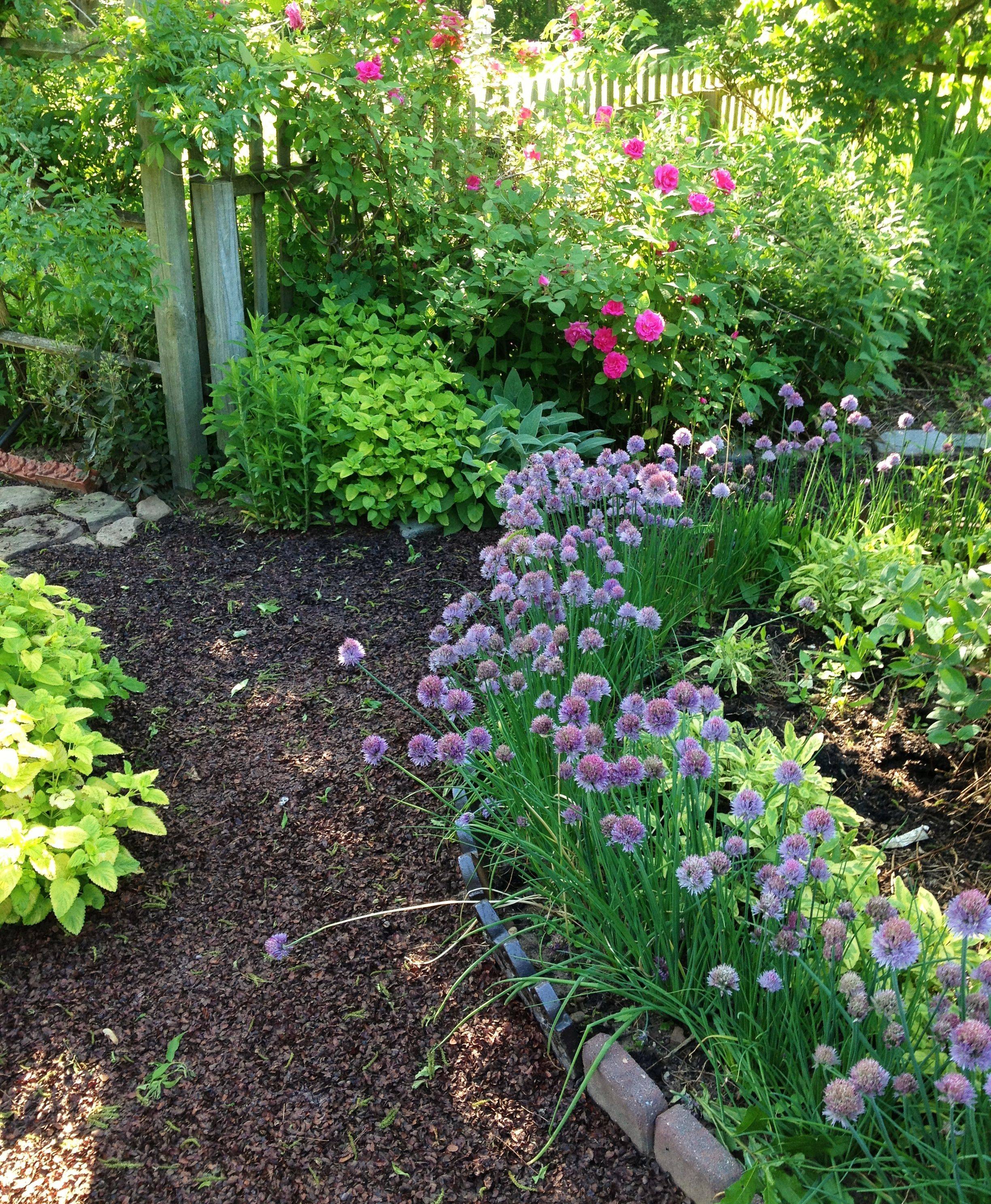 17 Perennial Herb Garden Layout Ideas You Must Look | SharonSable