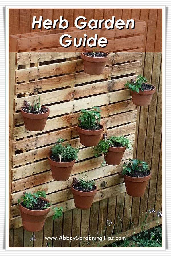 24 Medicinal Herb Garden Ideas For This Year | SharonSable