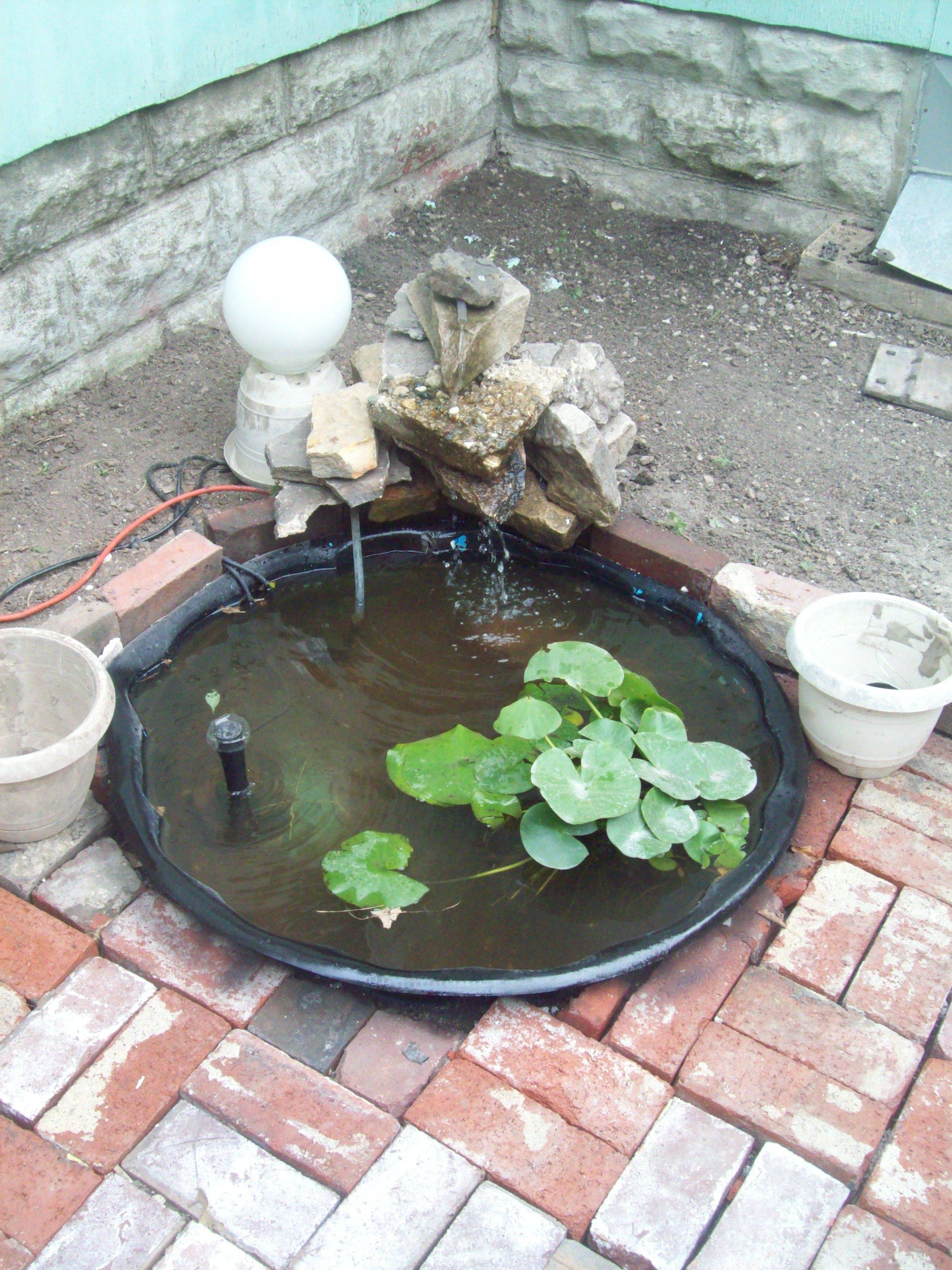 16 Plastic Garden Ponds Ideas You Gonna Love | SharonSable