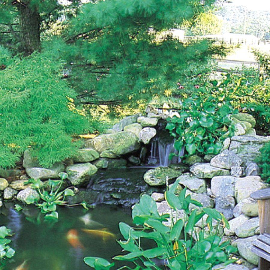 20 How to Build a Pond in Your Garden Ideas You Should Check | SharonSable