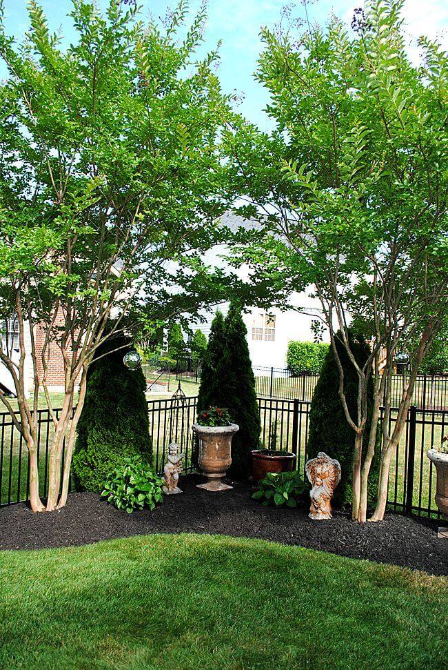 21 Garden Trees Ideas For This Year | SharonSable