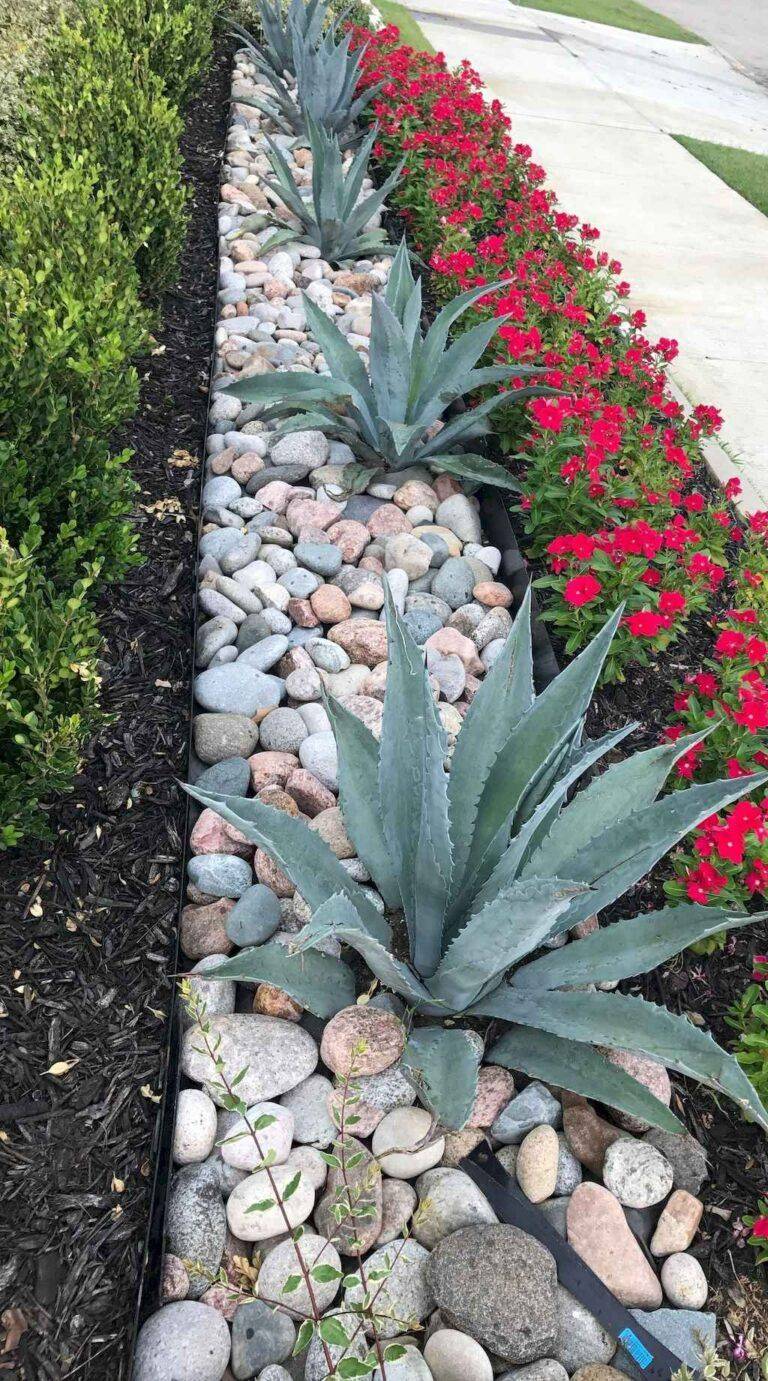 20 Full-Sun Rock Garden Ideas You Should Check | SharonSable