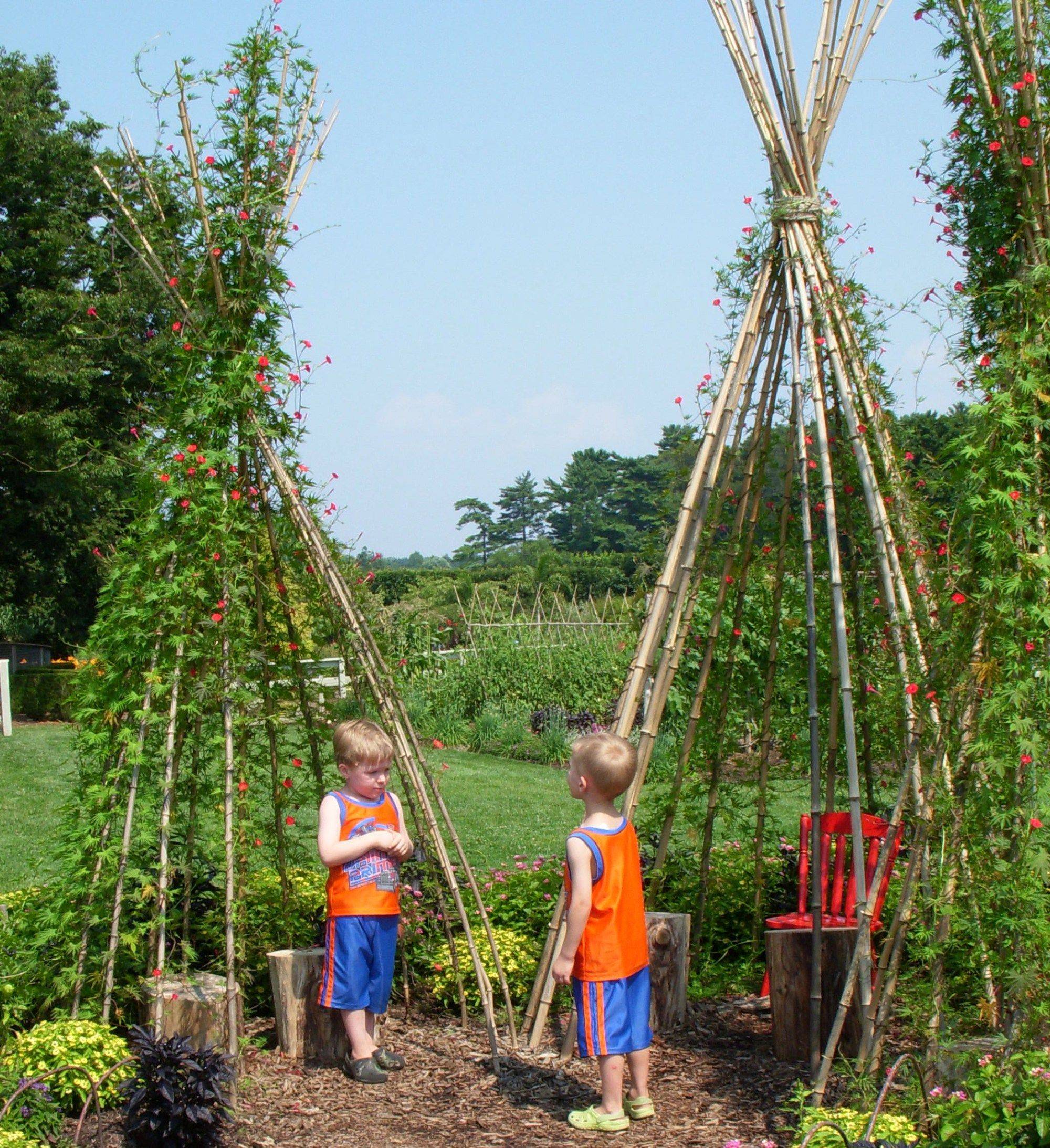 20 Garden TeePee Ideas To Try This Year | SharonSable