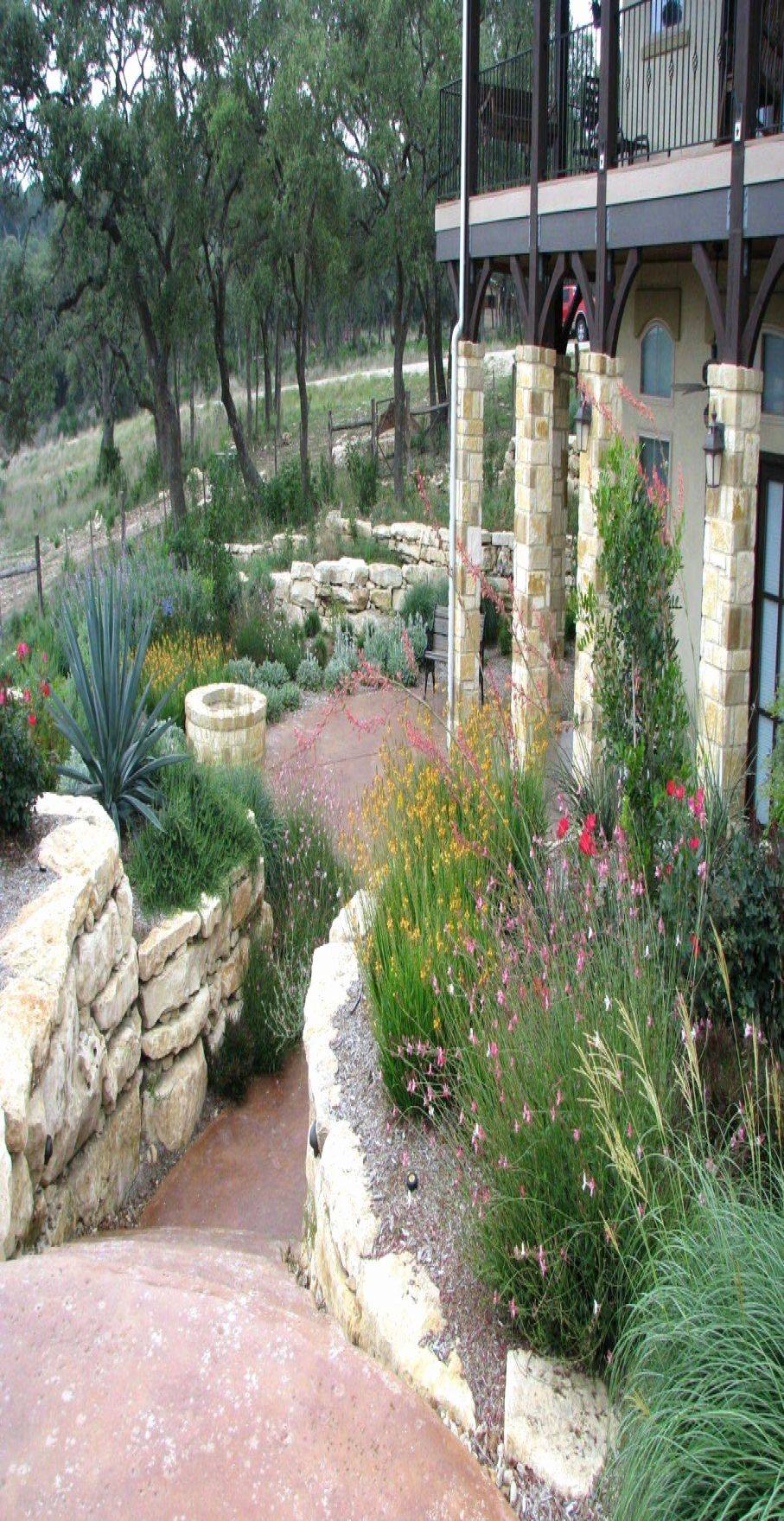 24 Texas Backyard Garden Ideas You Gonna Love | SharonSable