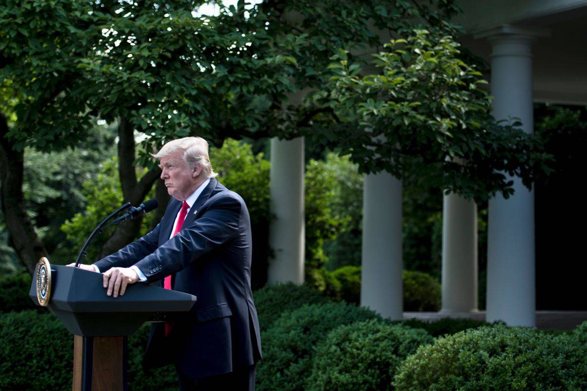 16 Donald Trump Rose Garden Ideas To Consider | SharonSable