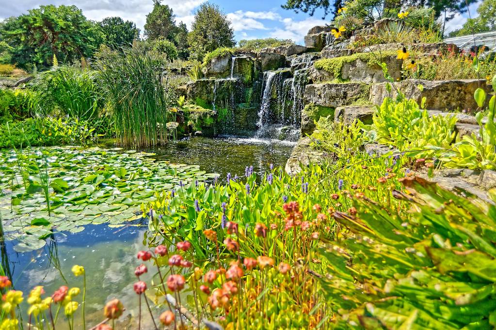 18 The Rock Garden London Ideas You Must Look | SharonSable