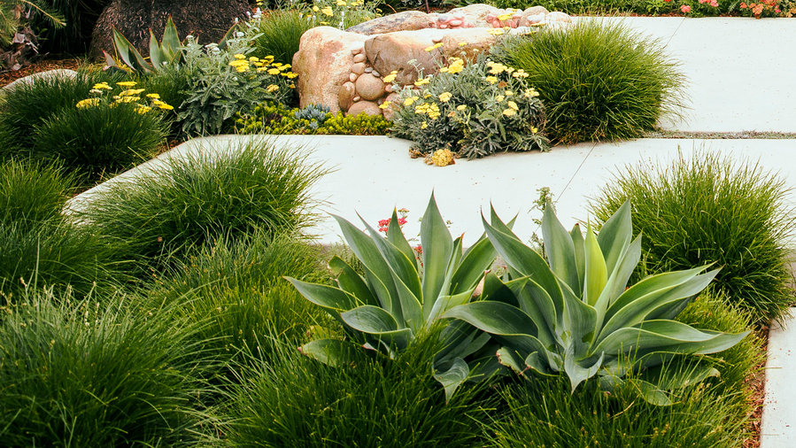 21 Beach Garden Design Ideas To Try This Year | SharonSable