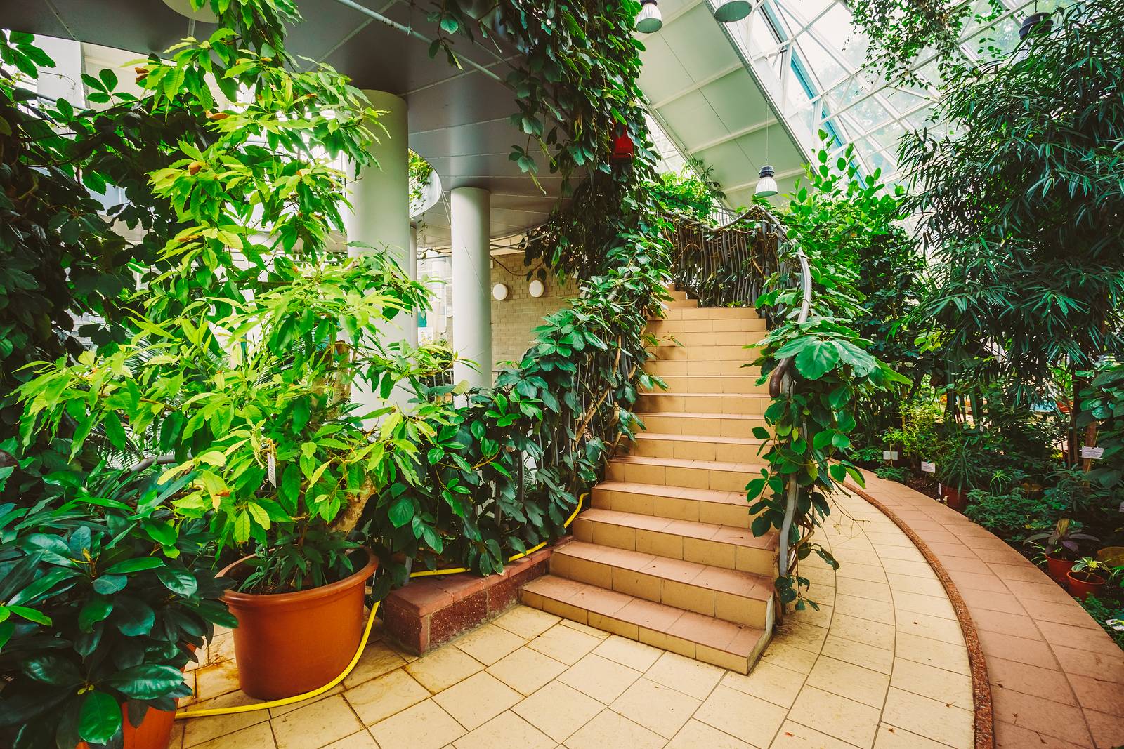 21 Indoor Botanical Garden Ideas Worth a Look | SharonSable