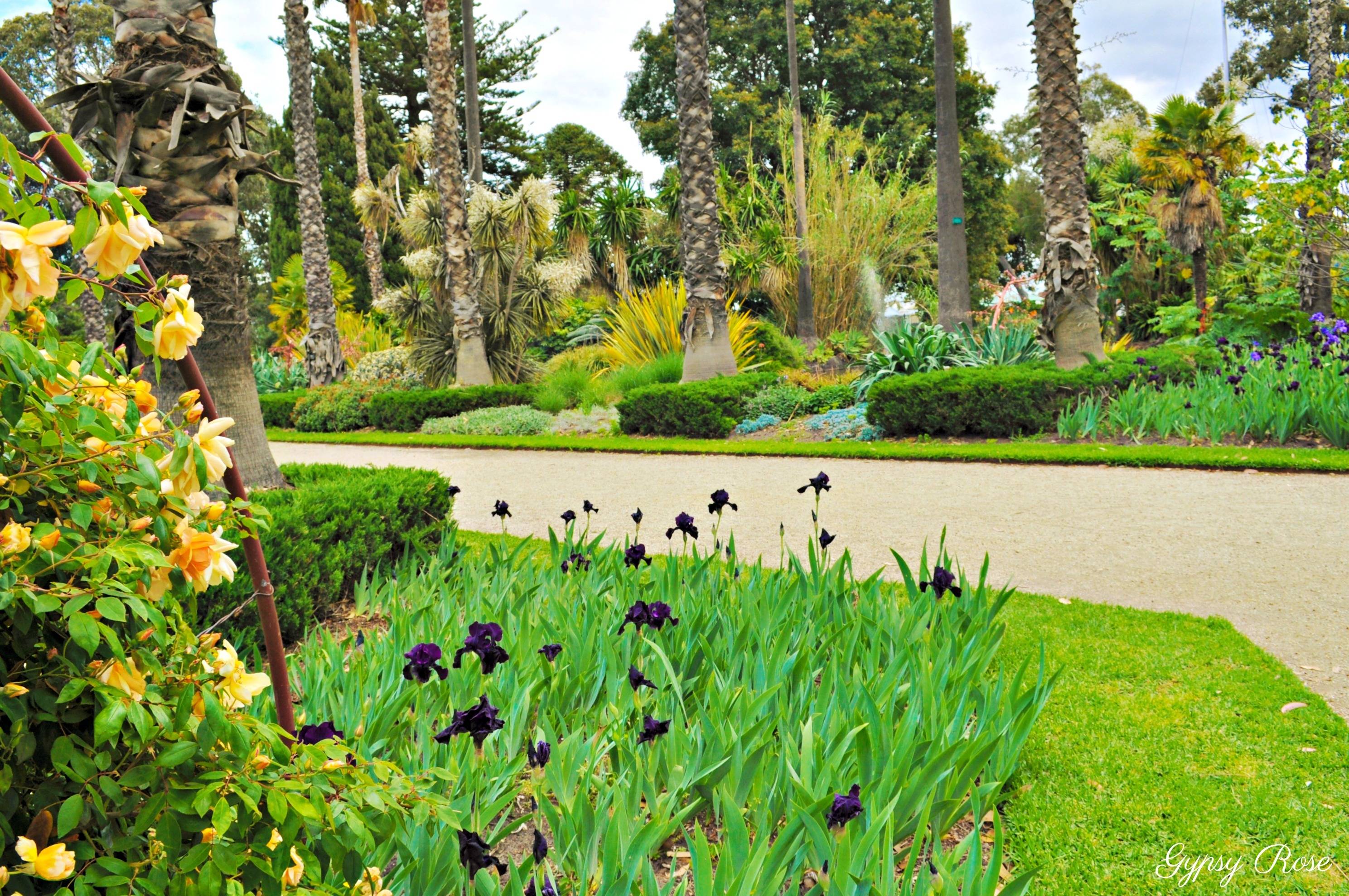 17 Botanical Garden & Arboretums Ideas You Cannot Miss | SharonSable