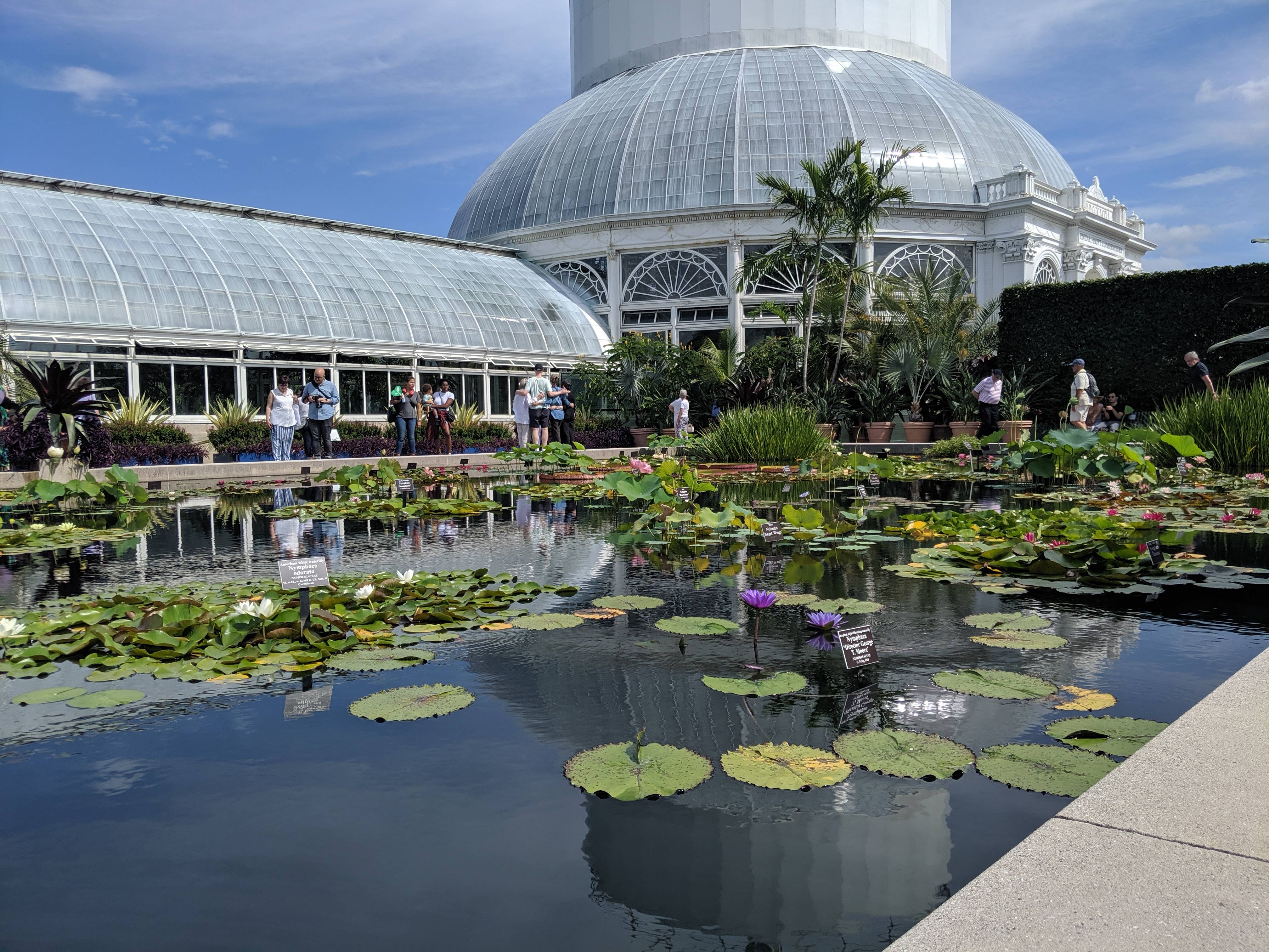 17 Botanical Garden & Arboretums Ideas You Cannot Miss | SharonSable