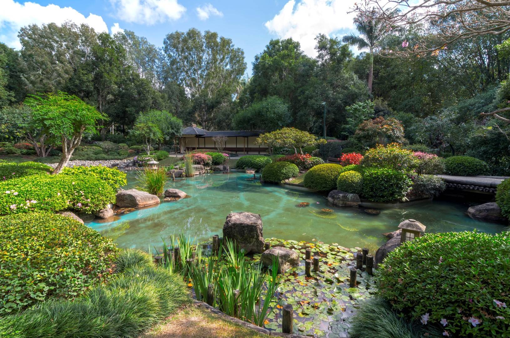 17 Botanical Garden & Arboretums Ideas You Cannot Miss | SharonSable