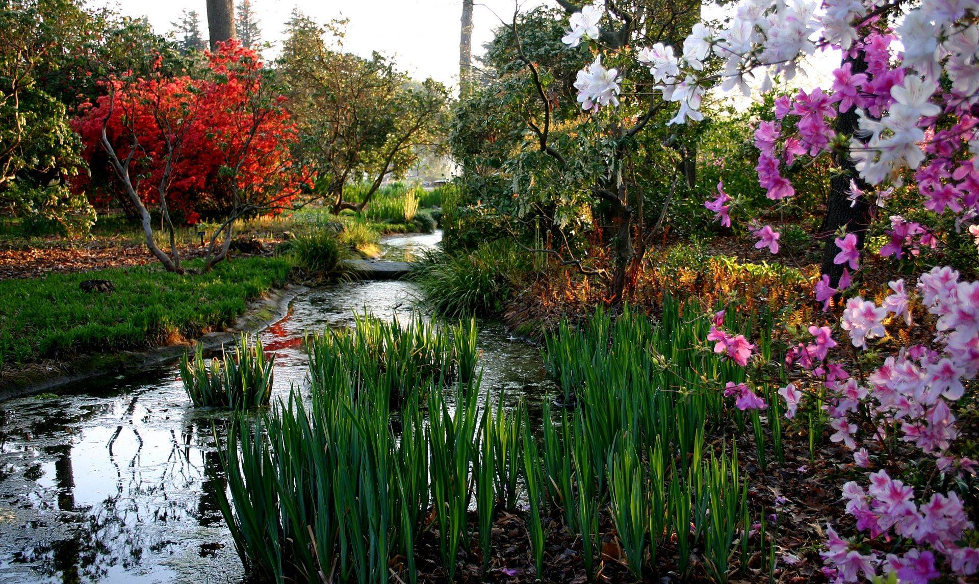 23 Botanical Garden Virginia Ideas You Cannot Miss | SharonSable