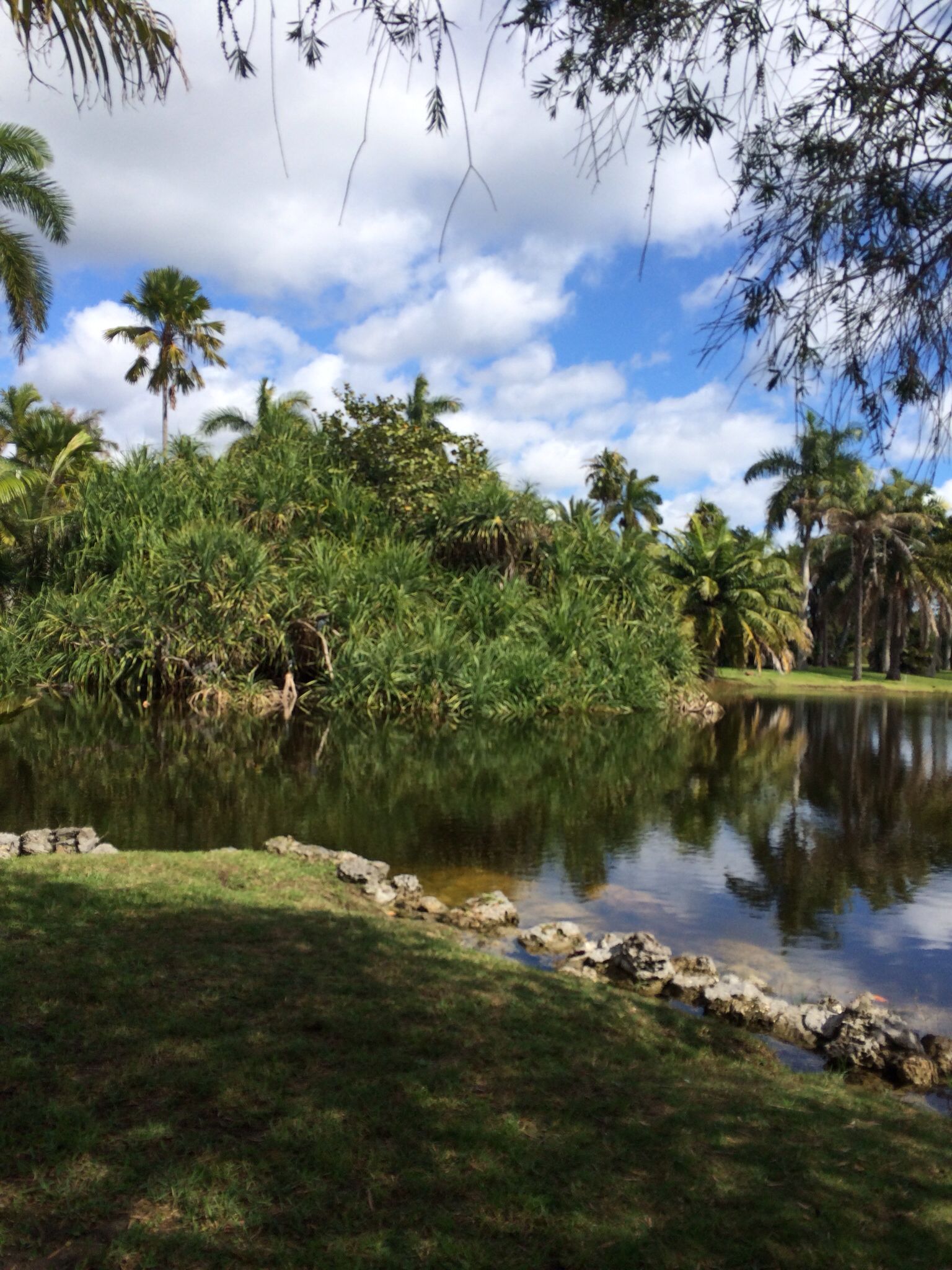 15 Fairchild Botanical Garden Ideas For This Year | SharonSable