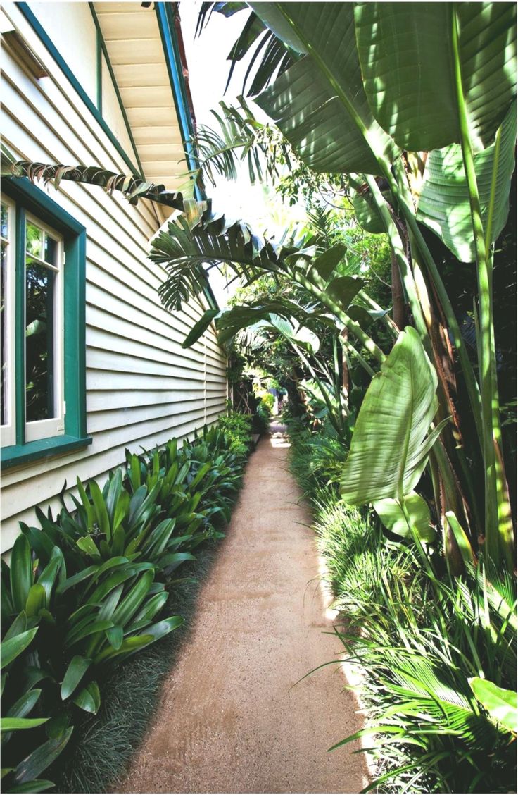 18 Tropical Garden Ideas Australia You Must Look | SharonSable
