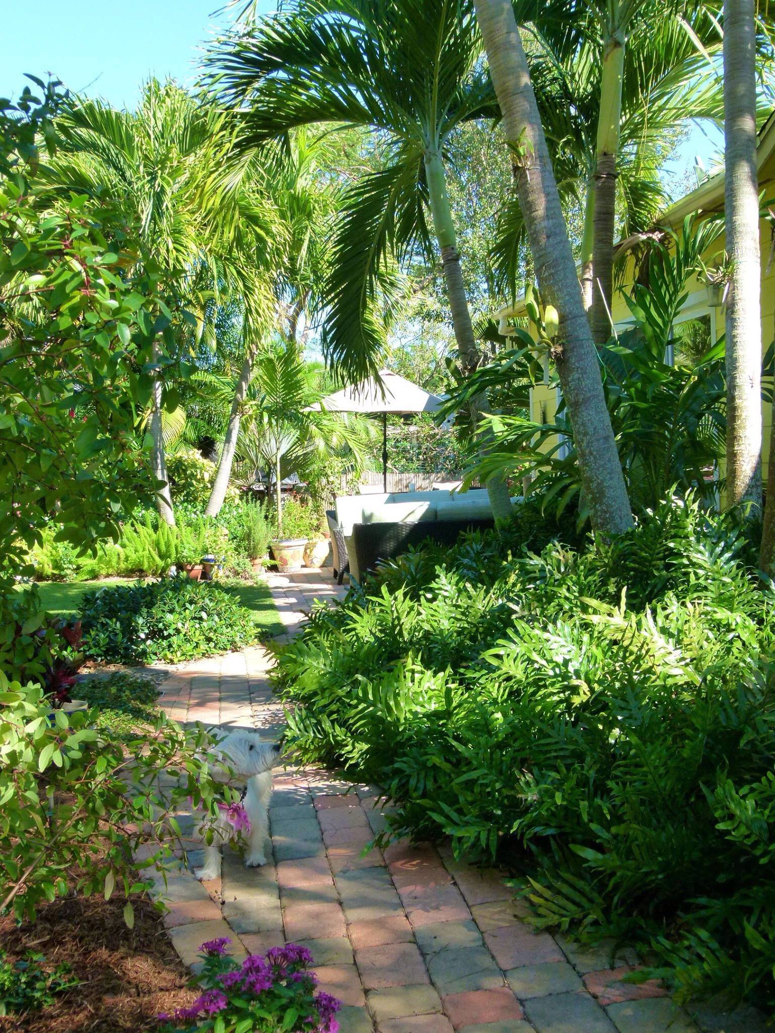 20 South Florida Garden Ideas You Must Look | SharonSable