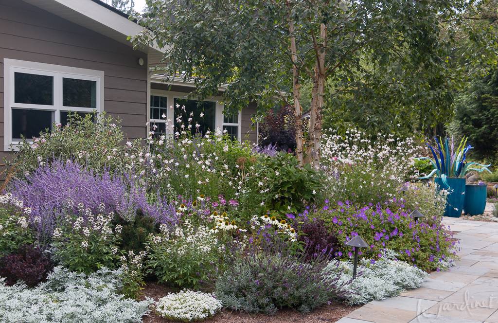 20 Drought Tolerant Garden Plants Ideas You Gonna Love | SharonSable
