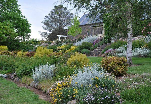 20 Australian Cottage Garden Plants Ideas For This Year | SharonSable