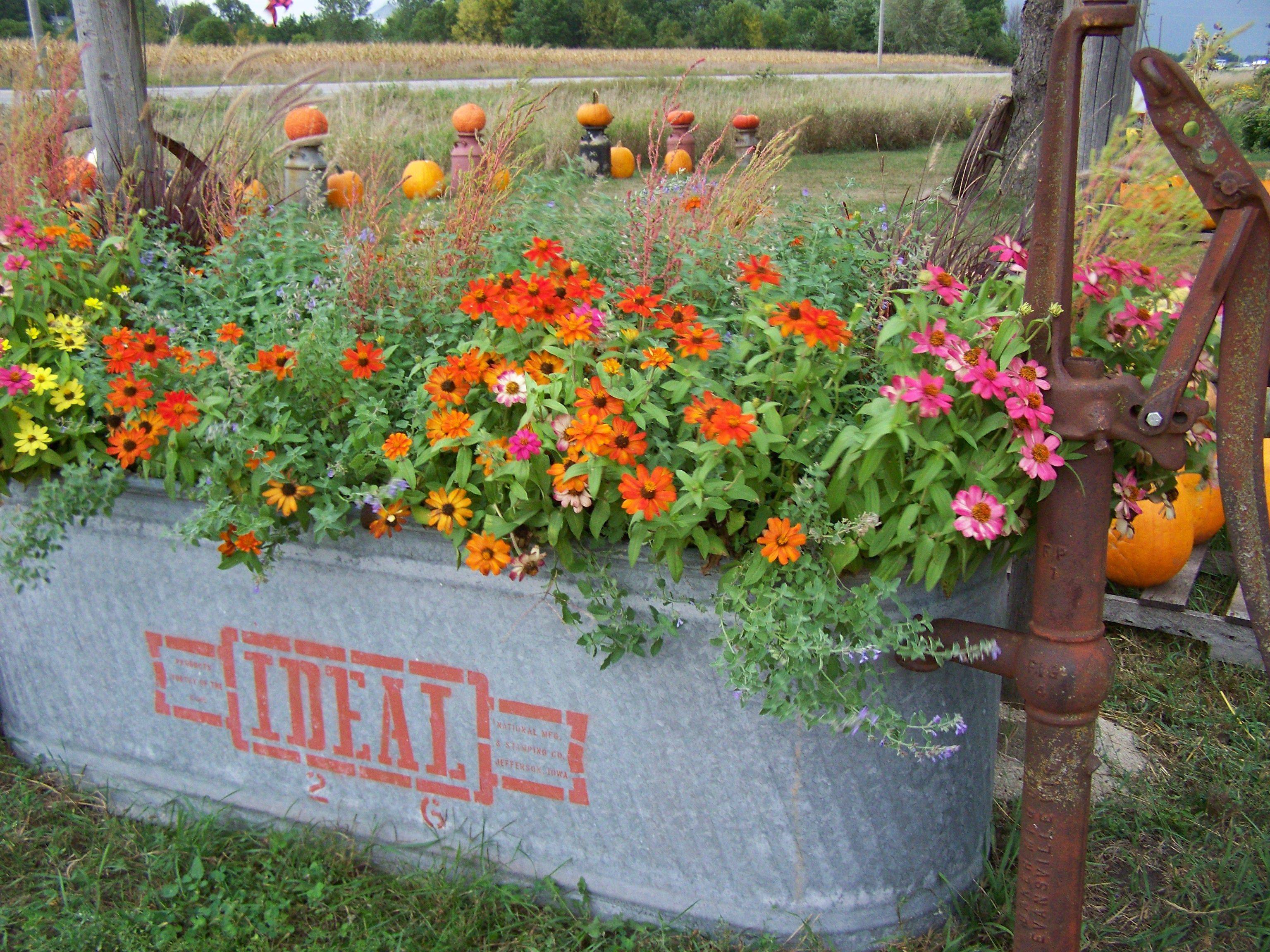 22 Garden Trough Ideas For This Year | SharonSable