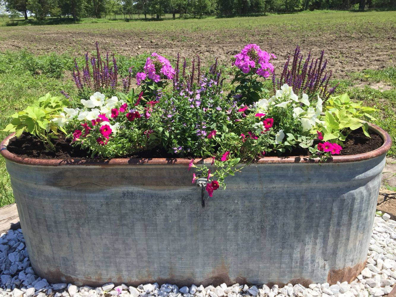 22 Garden Trough Ideas For This Year | SharonSable