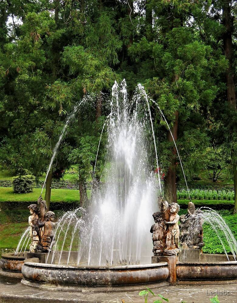 23 Botanical Garden Fountain Ideas To Try This Year | SharonSable