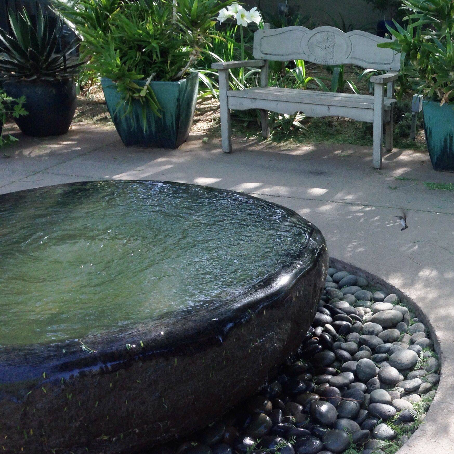23 Botanical Garden Fountain Ideas To Try This Year | SharonSable