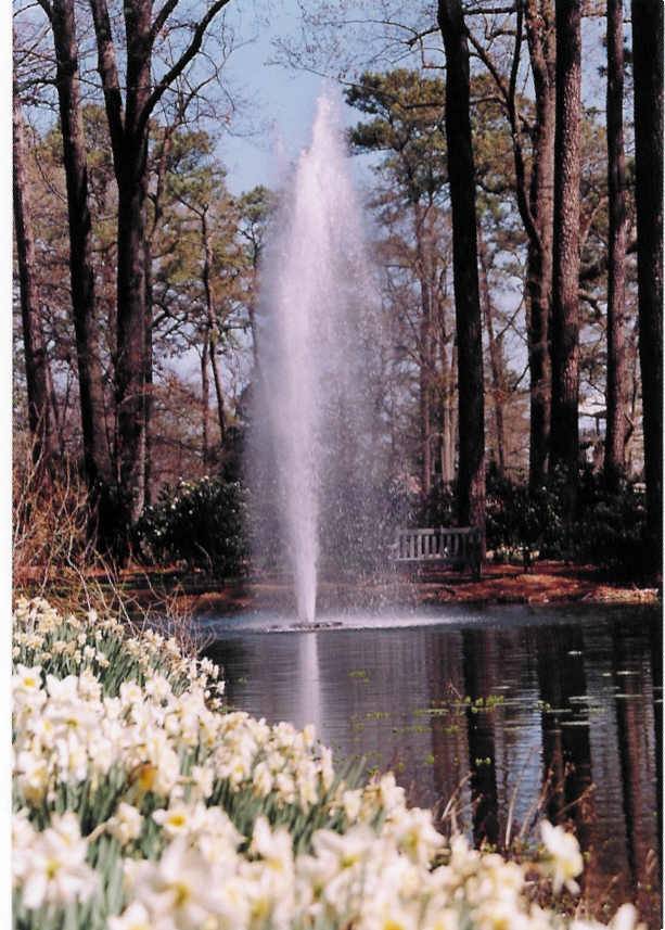 23 Botanical Garden Fountain Ideas To Try This Year | SharonSable