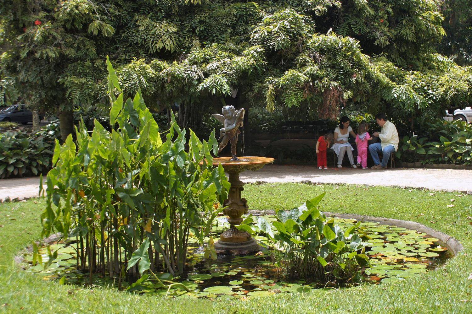 15 Rio De Janeiro Botanical Garden Marmoset Ideas You Gonna Love ...