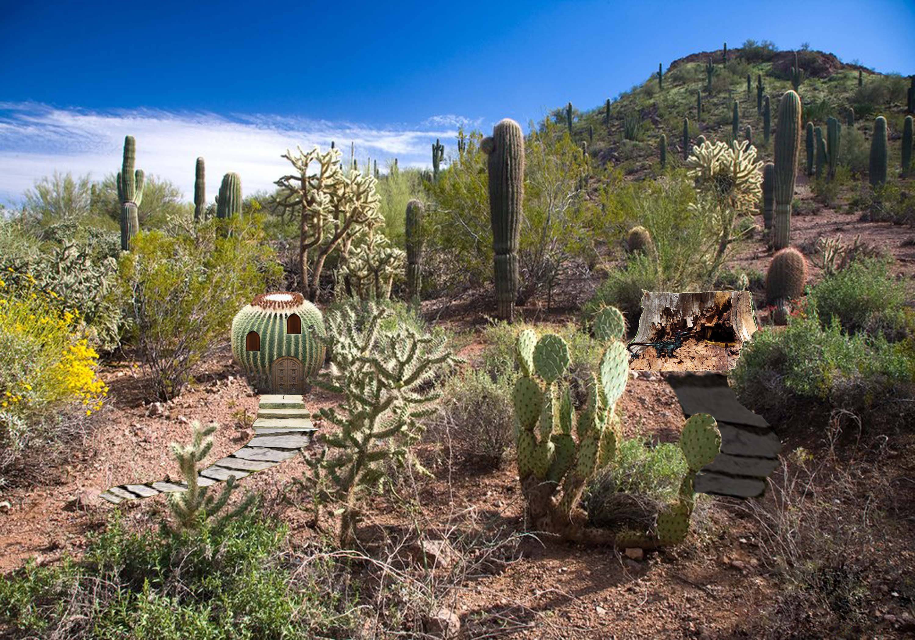 22 Desert Botanical Sculpture Garden Ideas Worth to Check | SharonSable