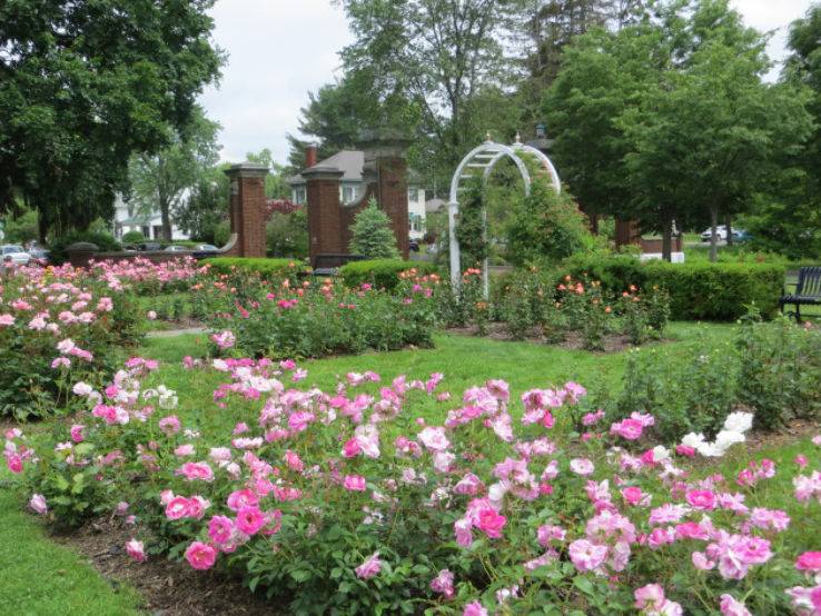16 Rose Garden Delhi Ideas You Should Check | SharonSable