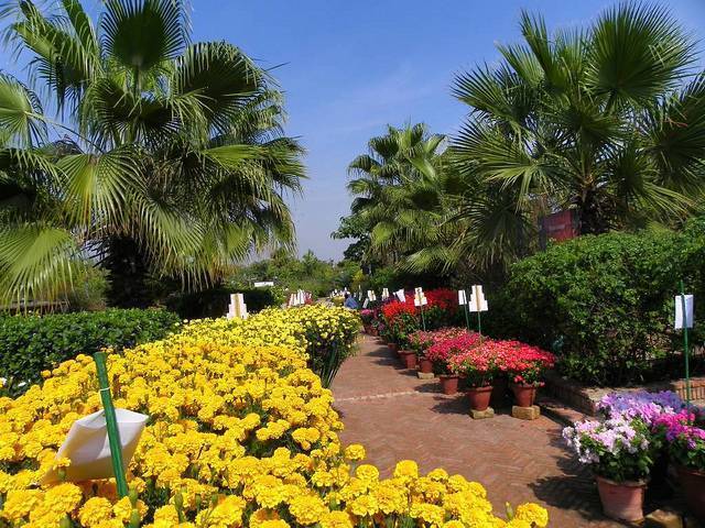 22 Garden of Five Senses Delhi Ideas You Gonna Love | SharonSable