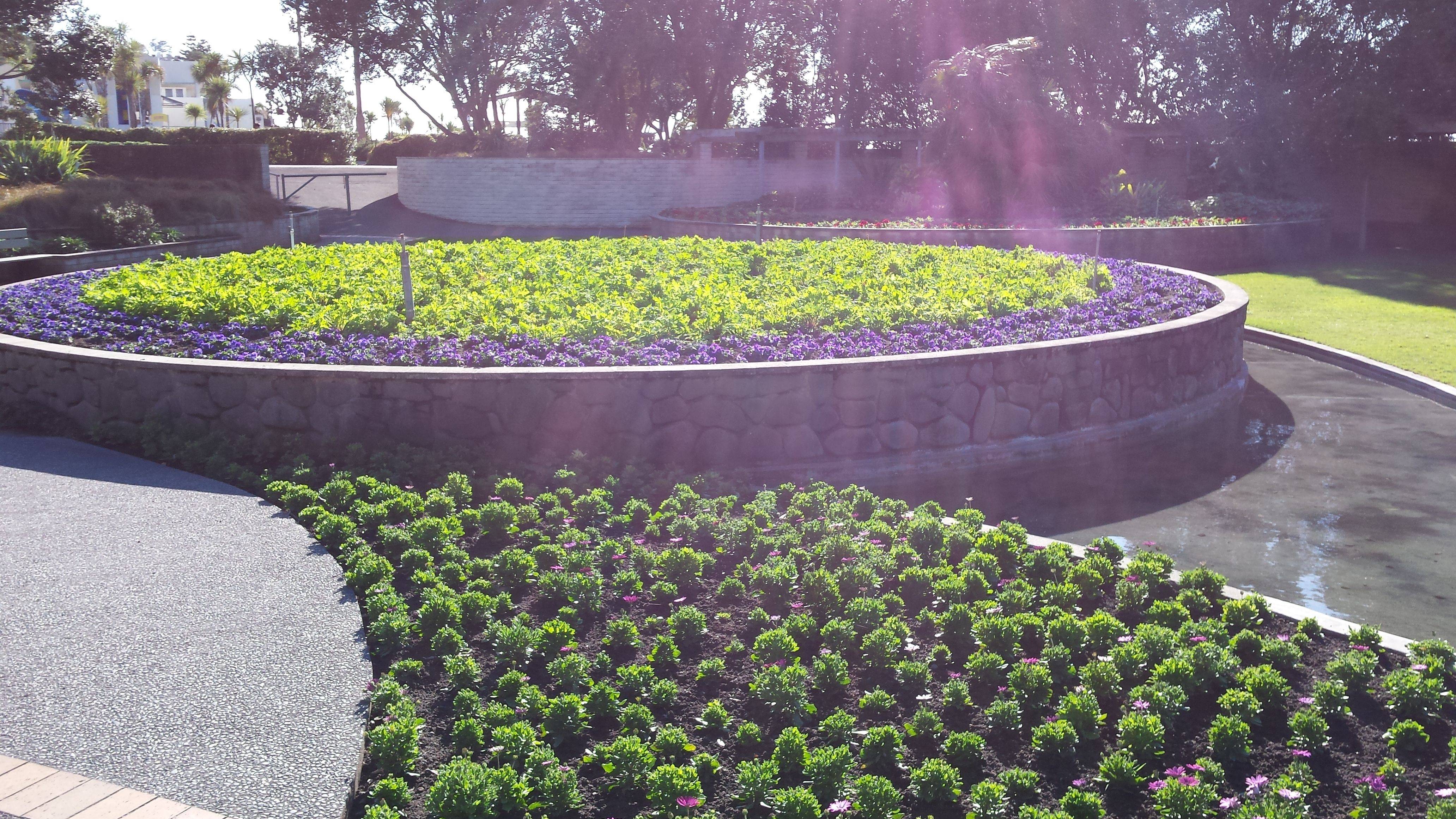 20 Rotorua Garden Ideas To Try This Year | SharonSable