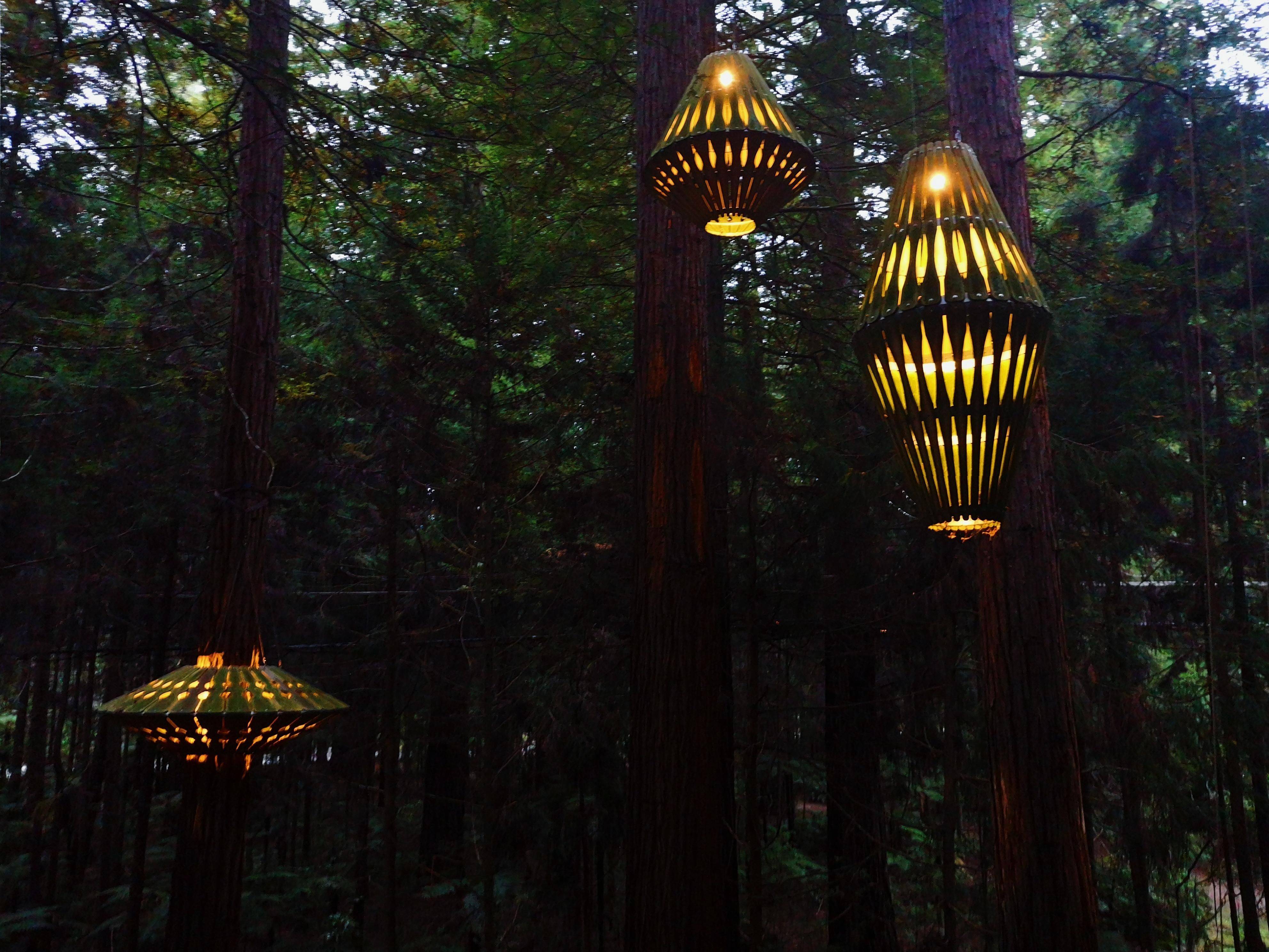 20 Rotorua Garden Ideas To Try This Year | SharonSable