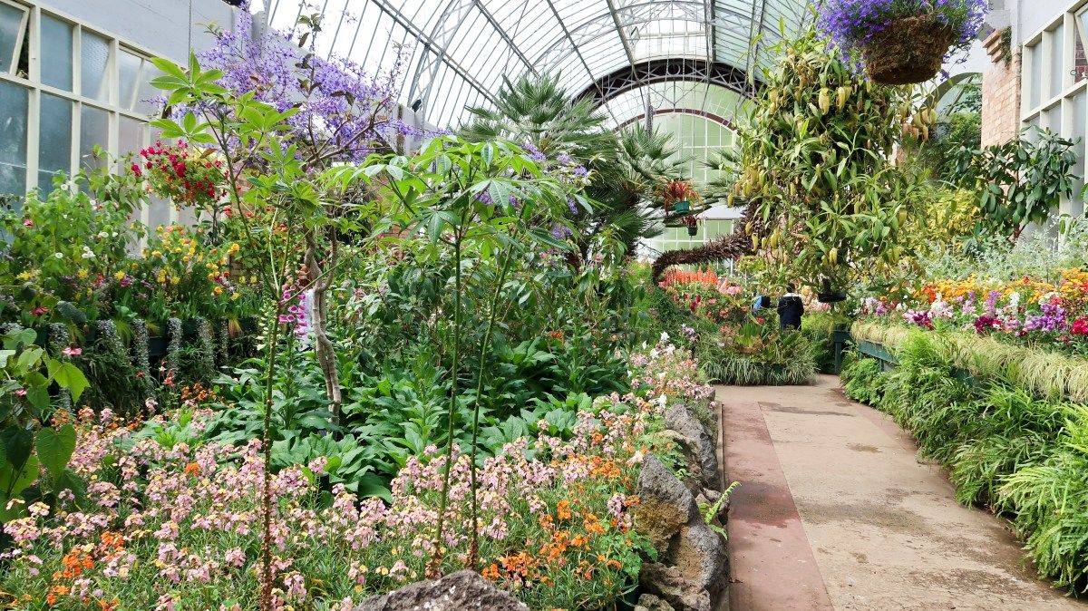 19 Auckland Botanic Garden Ideas For This Year | SharonSable