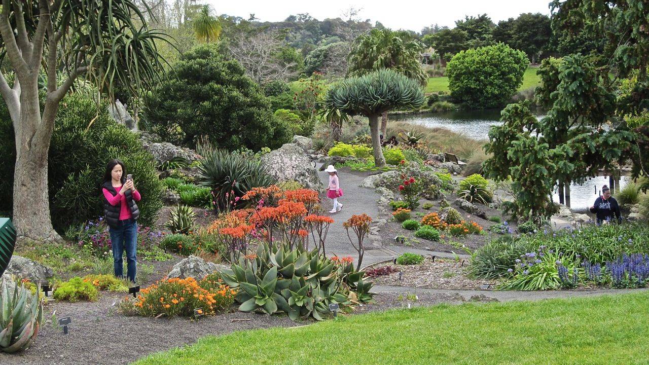 19 Auckland Botanic Garden Ideas For This Year | SharonSable
