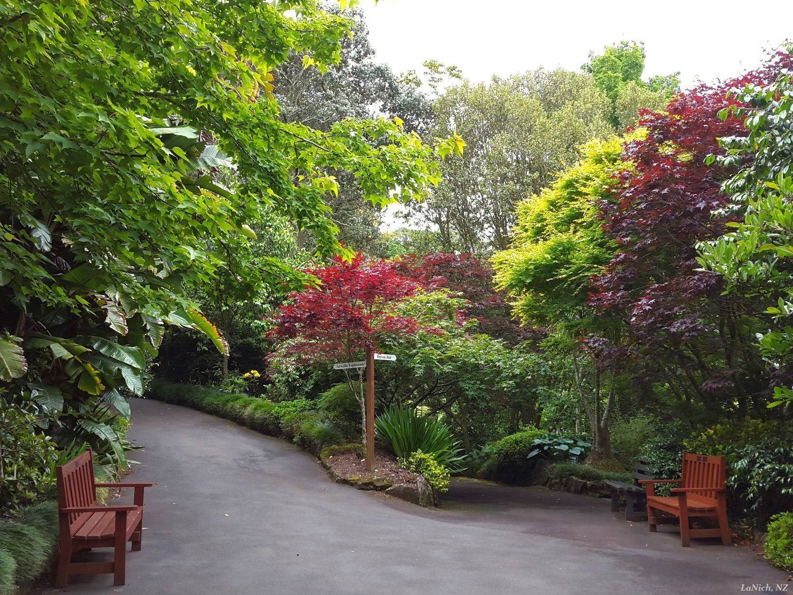 19 Auckland Botanic Garden Ideas For This Year | SharonSable