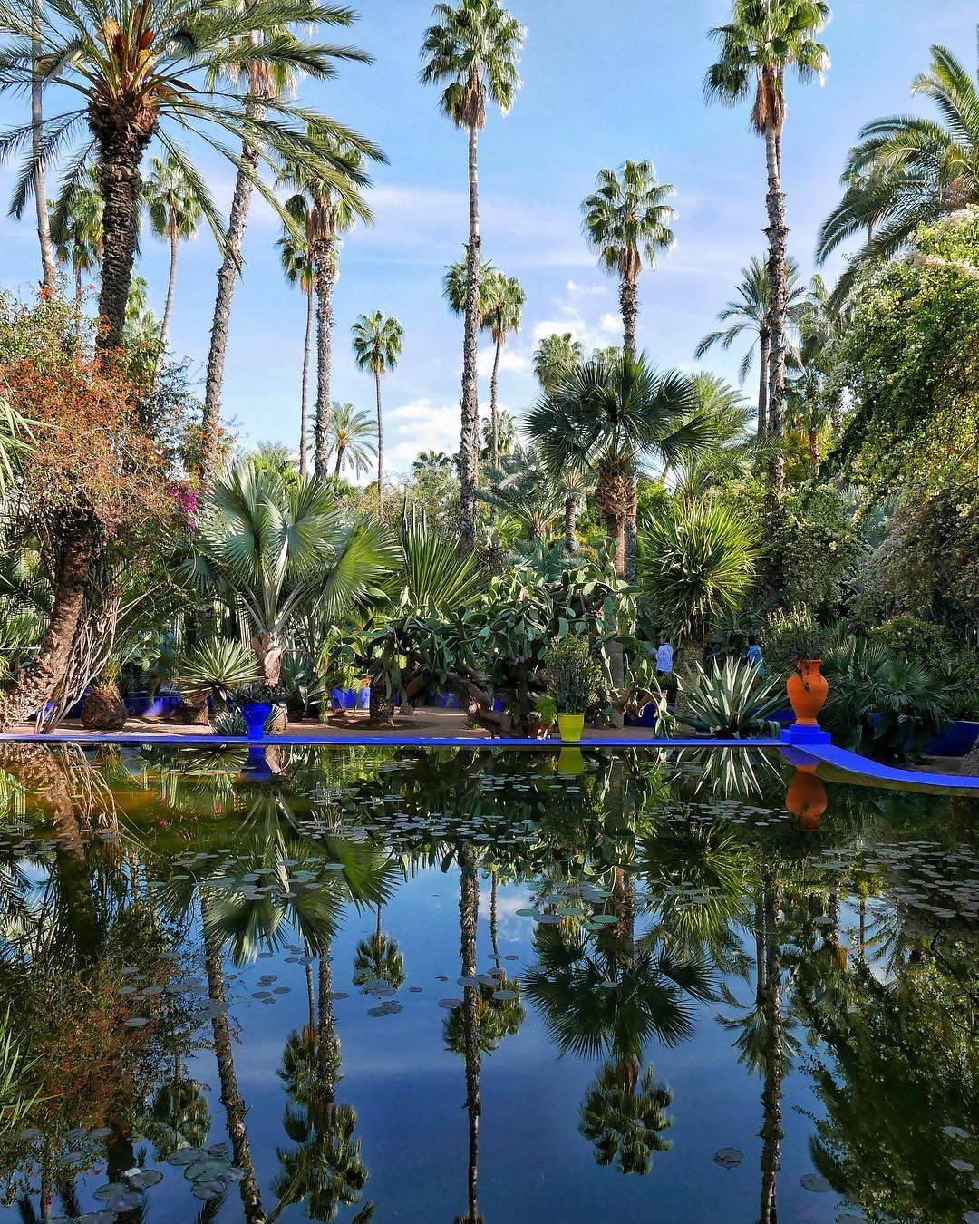 24 Marrakech Garden Ideas To Consider | SharonSable