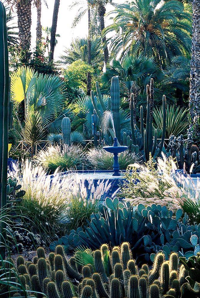 24 Marrakech Garden Ideas To Consider | SharonSable