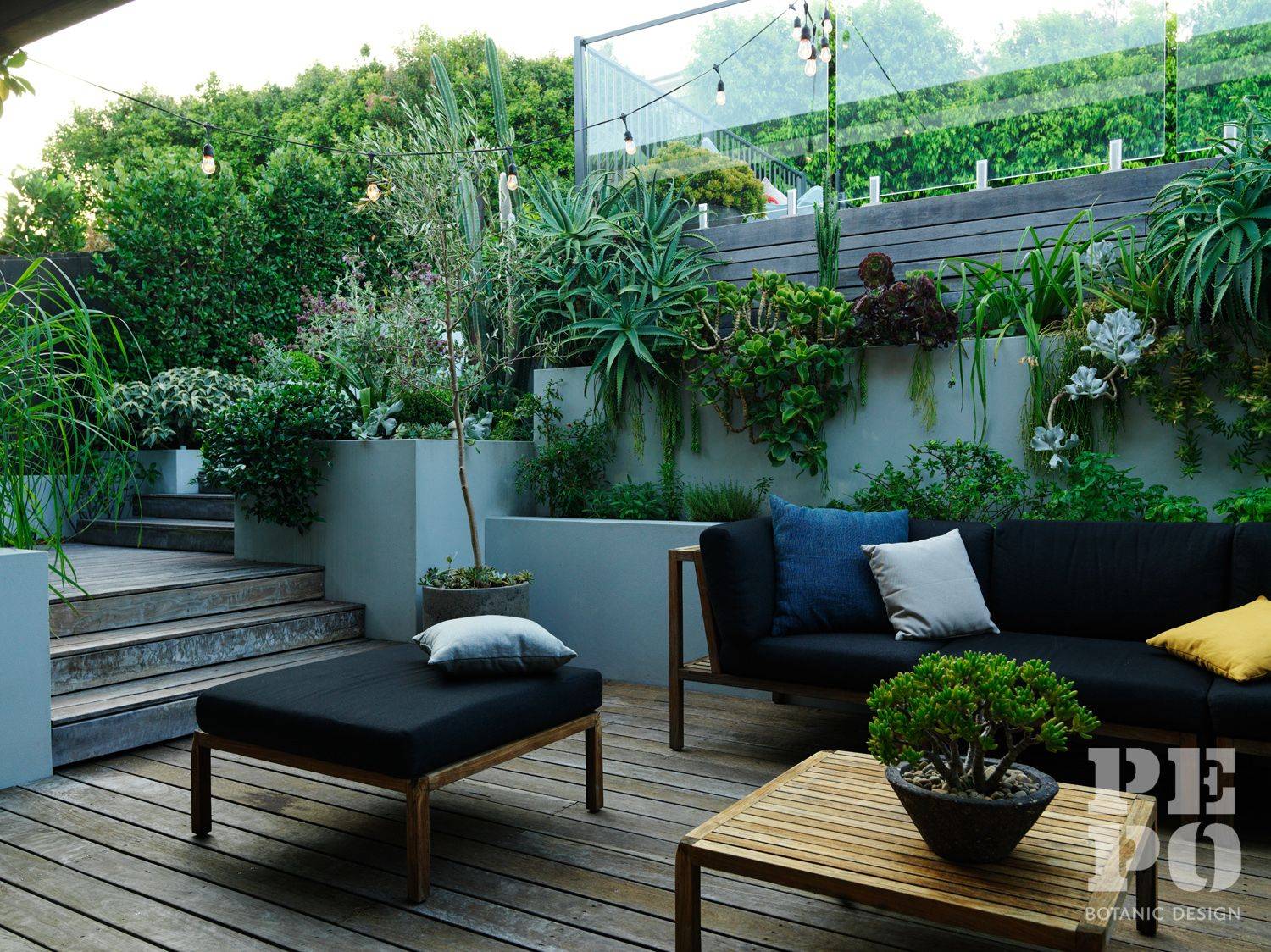 23 Sydney Garden Ideas Worth a Look | SharonSable